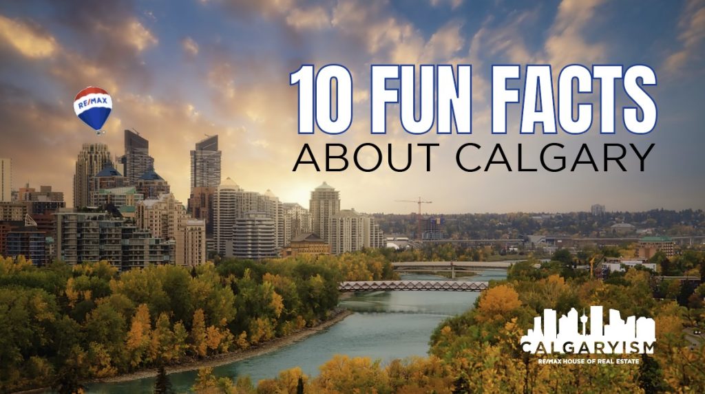 10 Fun & Interesting Facts About Calgary You Should Know