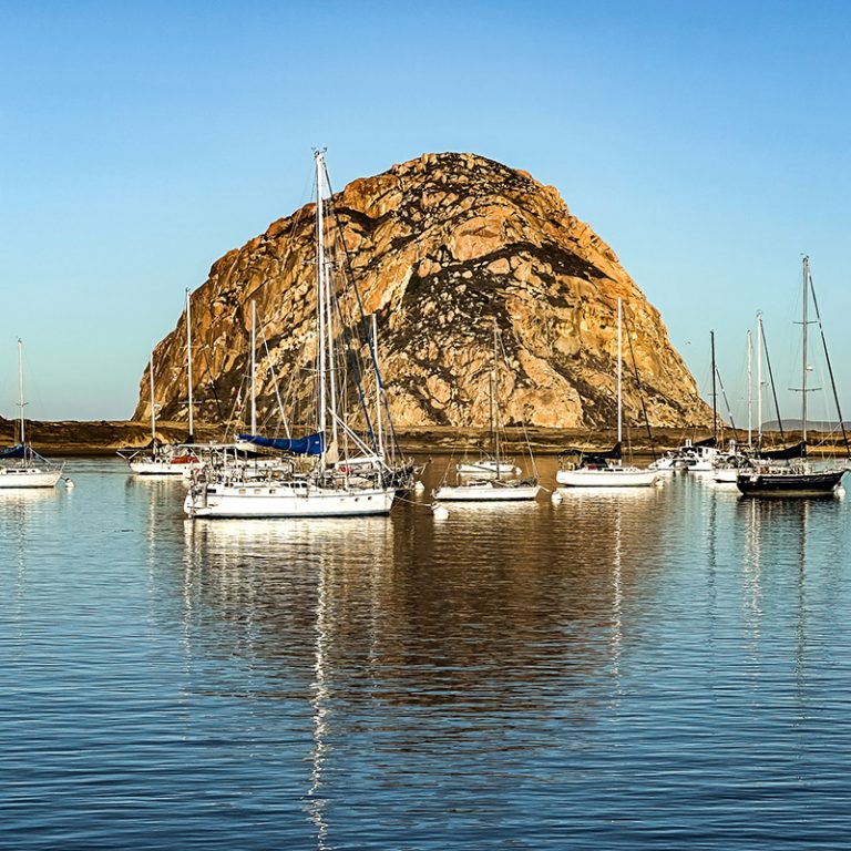 Morro Bay - Weber Team