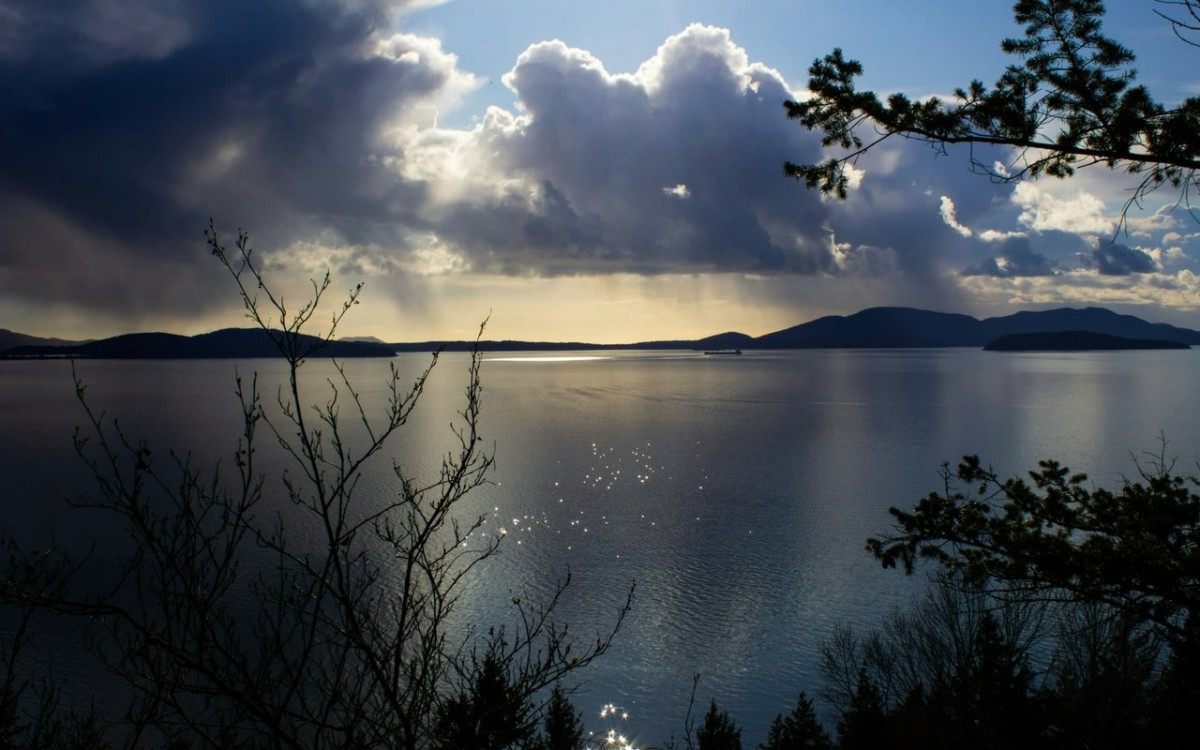 Things to Do in Bellingham | Blog | Buse Agency