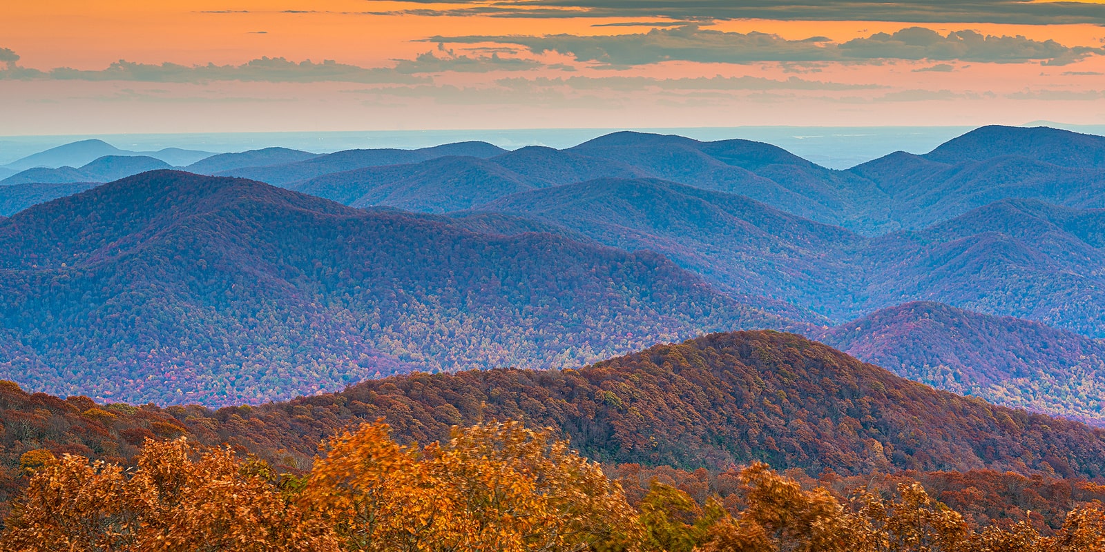 Drake Realty - Fulton County Real Estate, Dekalb County Homes, Gwinnett ...