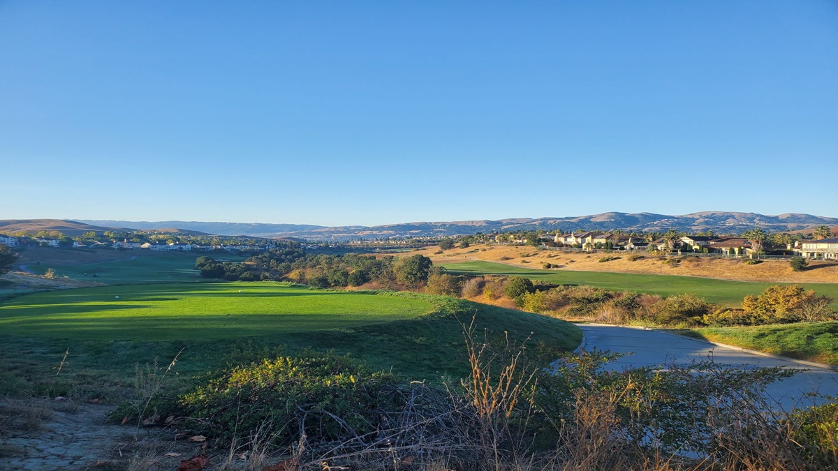 Ted Carter | Realtor | Northern California | San Francisco Bay